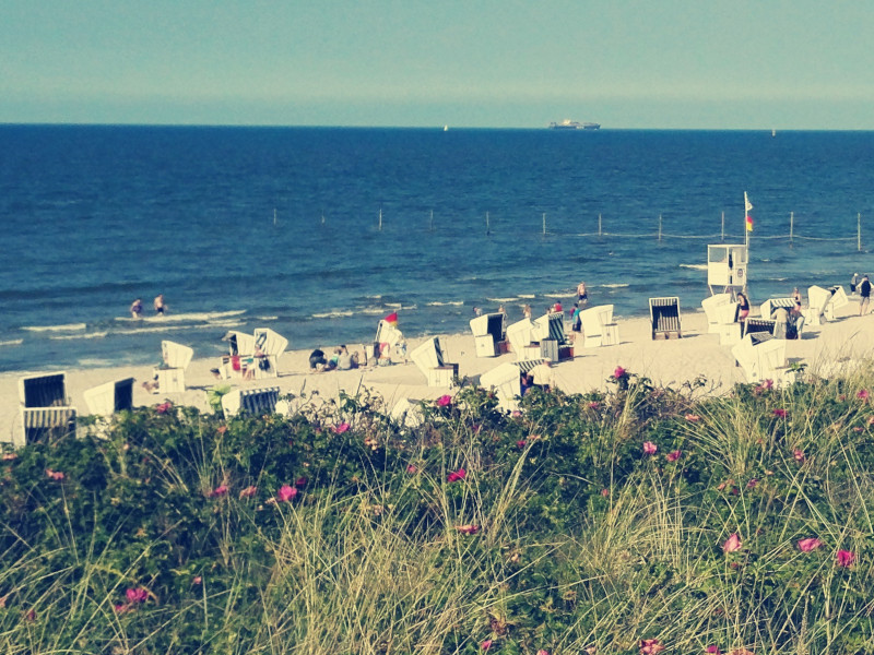 Aloha nui loa - Die Pizzabäckerei